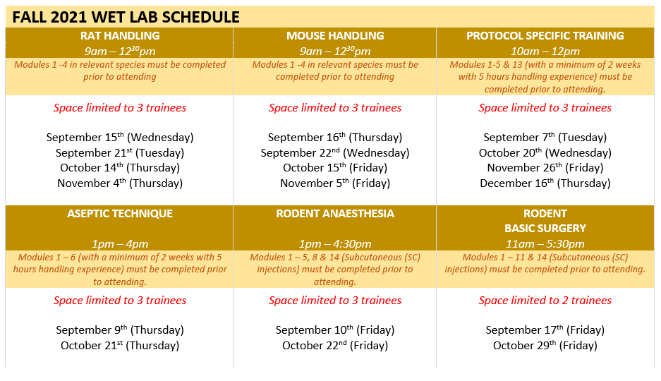 Rodent training | University of Lethbridge