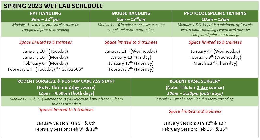Rodent Training | University of Lethbridge