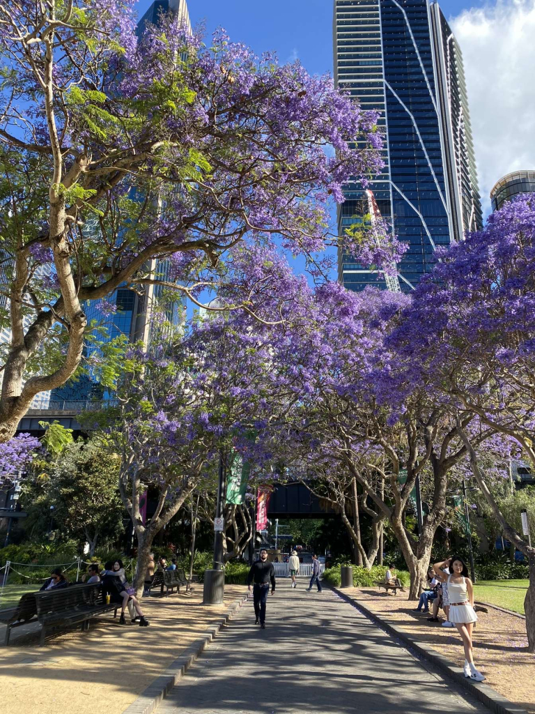 Western Sydney University | University of Lethbridge