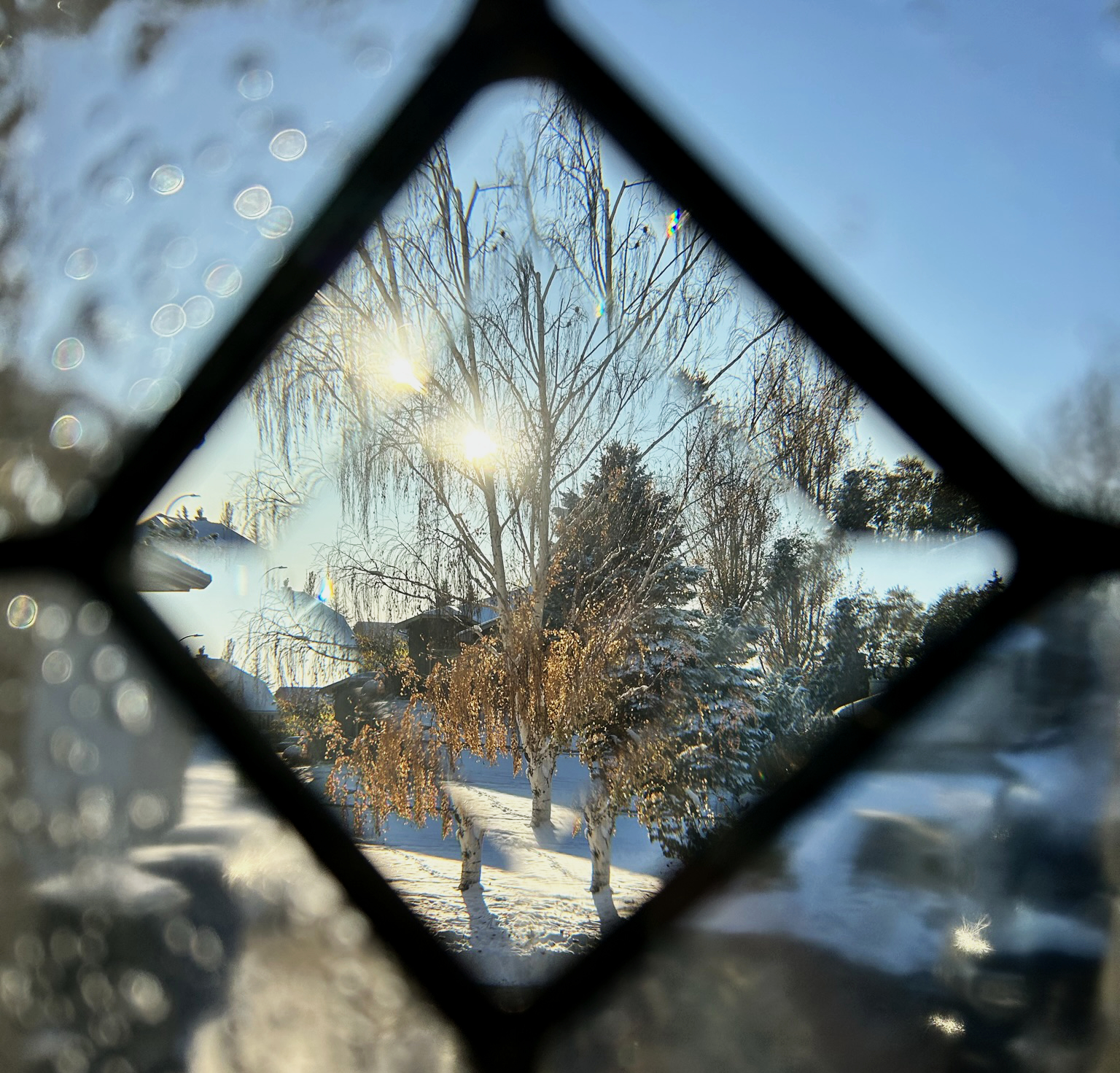 2023 Capture Culture Photo Contest Finalists | University of Lethbridge