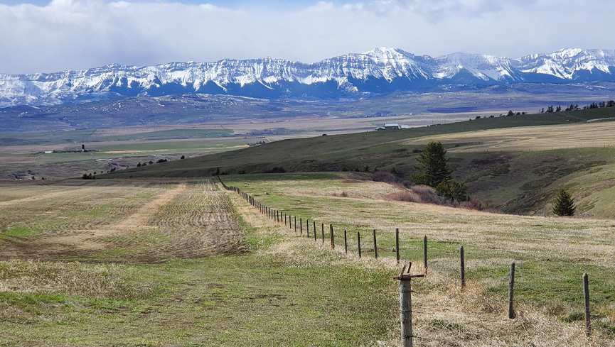 Measuring the snowpack — University of Lethbridge partners with Alberta ...