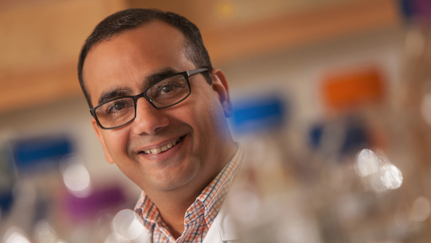 University of Lethbridge researcher continues his quest to develop a ...